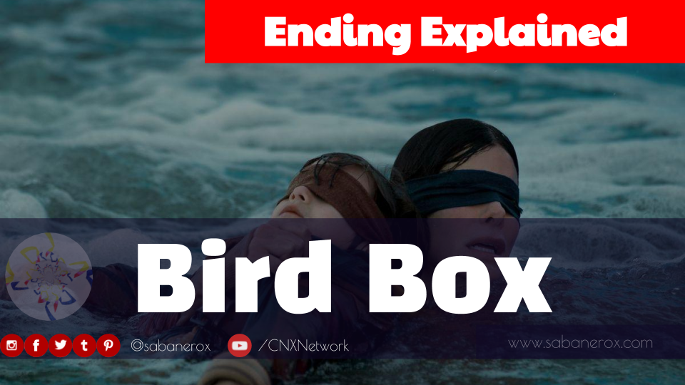 Bird Box ^ Ending Explained – El Sabanero X